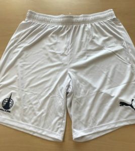 New Falkirk FC Strips 20-21 | Puma Falkirk Home & Away Kits 2020-21 ...